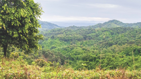 Chattogram mapping hills to prevent landslides | The Business Standard