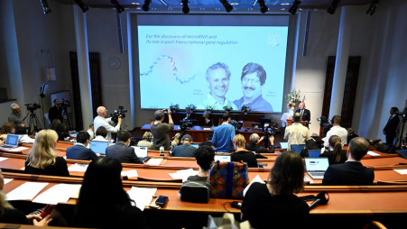 What is microRNA? Nobel-winning discovery explained | The Business Standard
