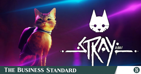 ‘Stray’ trailer reveals feline curiosity amongst ruins | The Business ...