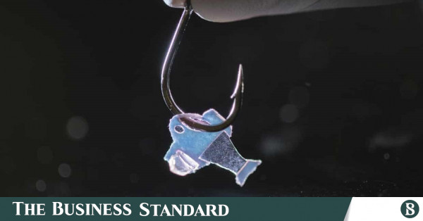 Biohybrid fish built from heart cells swims for three months | The ...